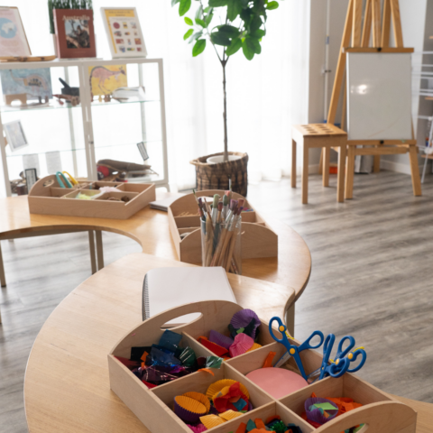 Sorella Seedlings Life Skills Program - Sorella Early Learning